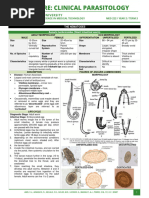 Parasite Egg Identification Guide | PDF