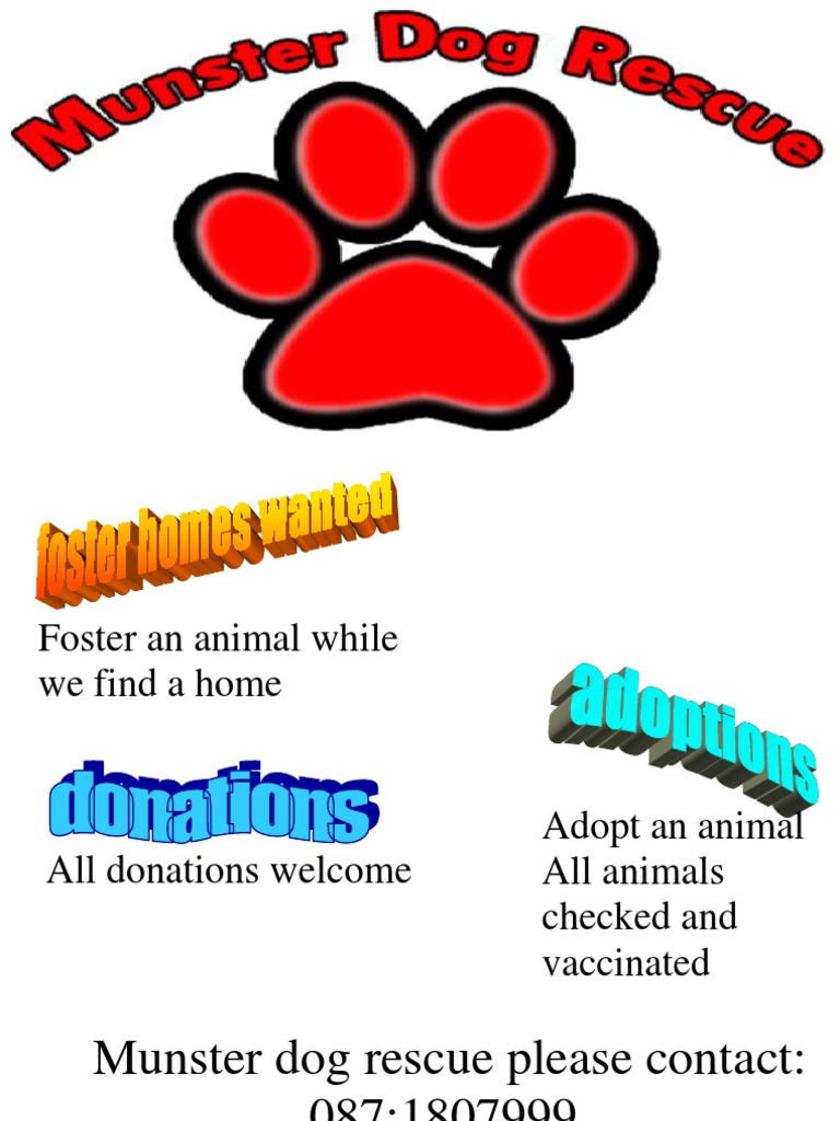 Dall Tube | PDF