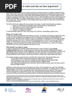 ICD-10 External Cause Codes Guide | PDF | Traffic Collision | Vehicles