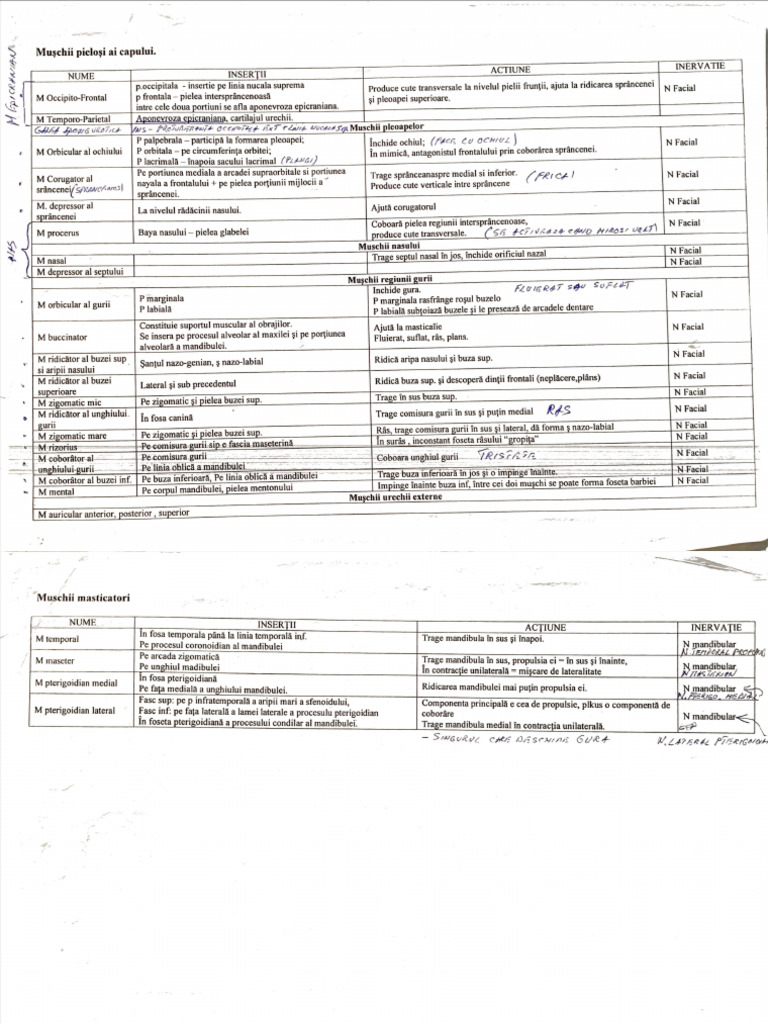 Muschii Cap Si Gat | PDF