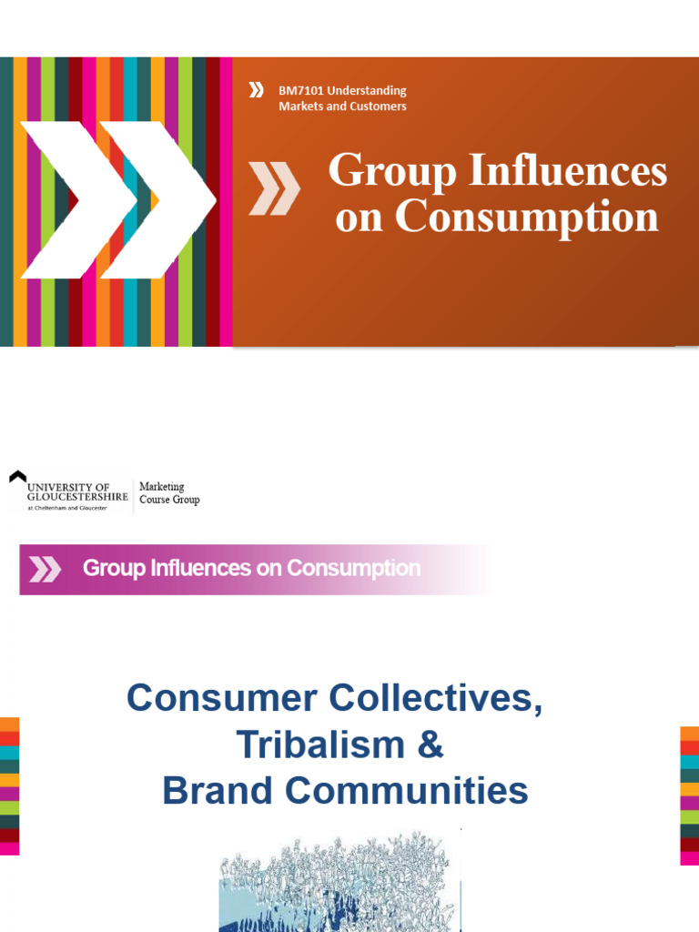 Group Influence in Marketing | PDF | Consumer Behaviour | Behavior