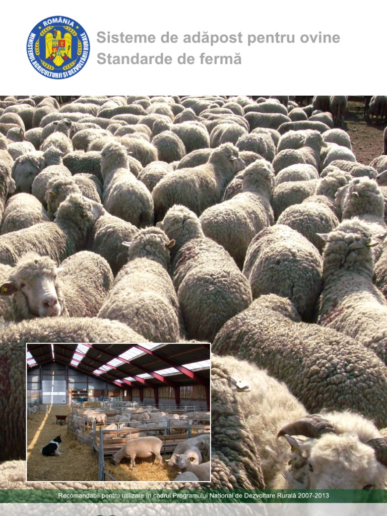 Manual de Ovine | PDF
