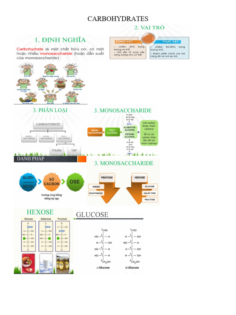 Understanding Macronutrients: Carbs, Lipids, Proteins | PDF