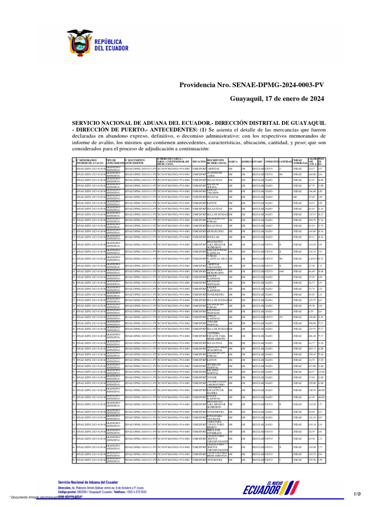 Senae DPMG 2024 0003 PV | PDF