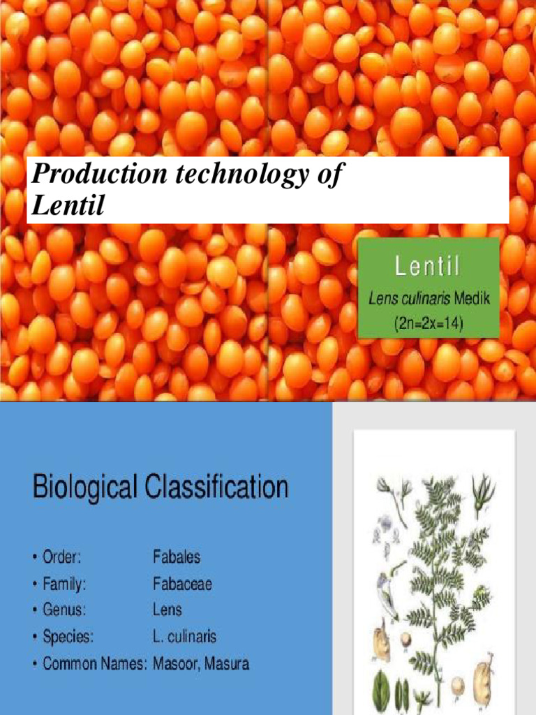 AGR-402-2-3-Lentil (Production Technology) | PDF | Lentil | Soil