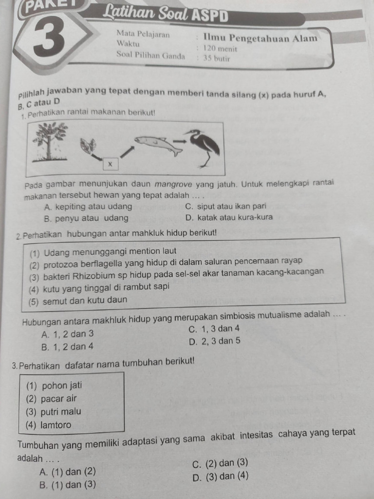 Ultra 3 Pdf