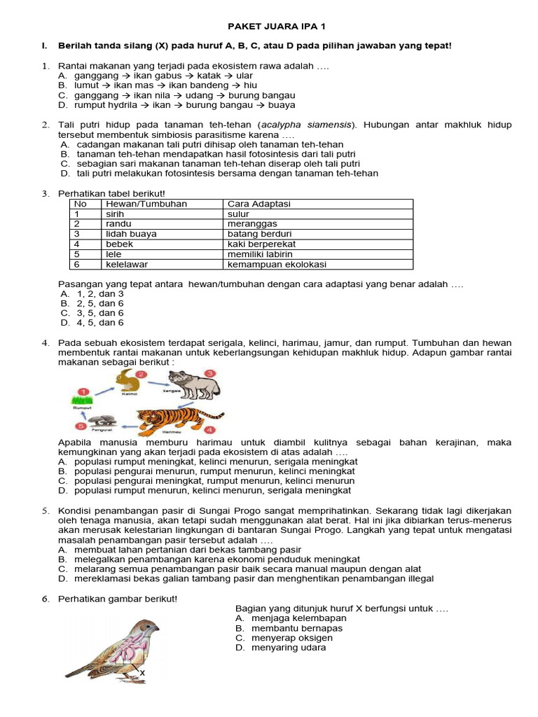 Edit Sedayu. Soal | PDF