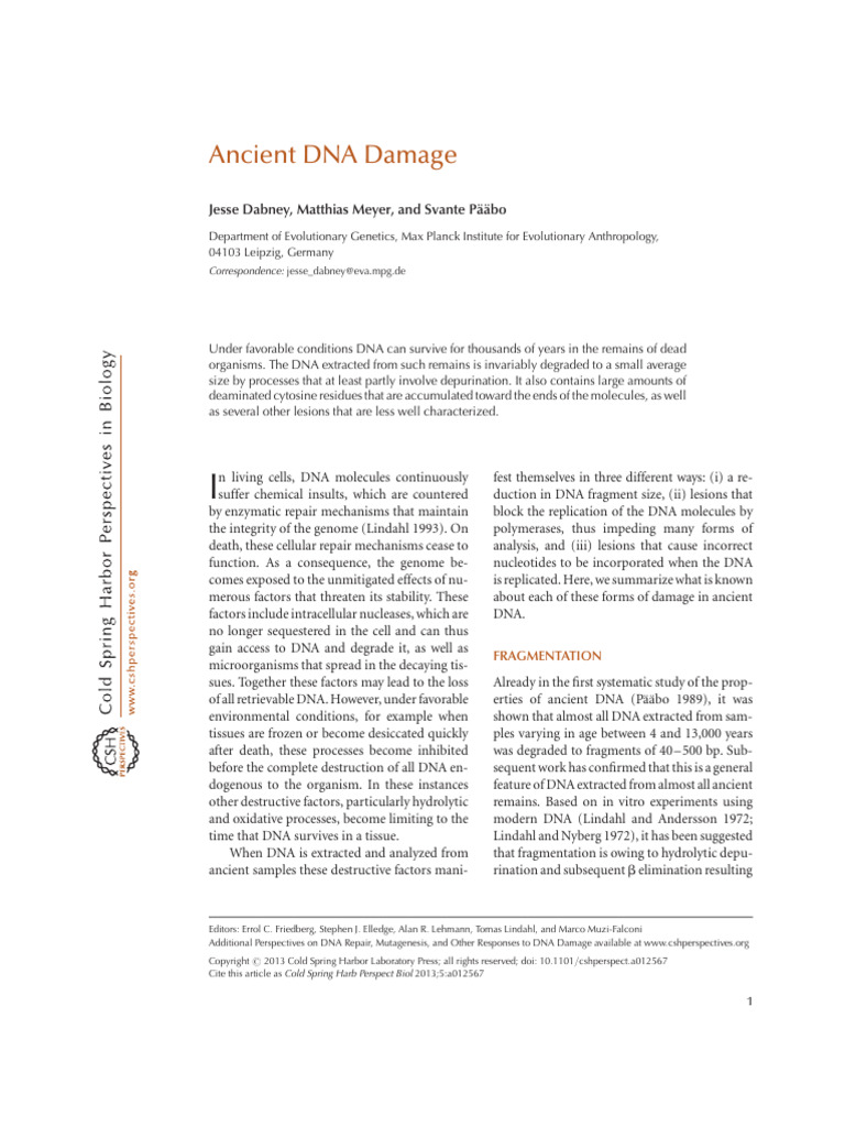 DNA Damage Ancient DNA | Download Free PDF | Dna | Dna Repair