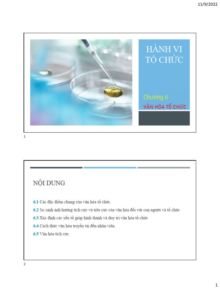 Chương 6 - Văn Hóa T CH C | PDF