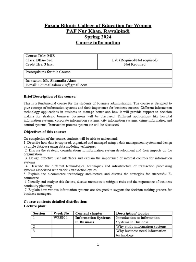 Management Information System Outline BBA-3rd | PDF | Information ...