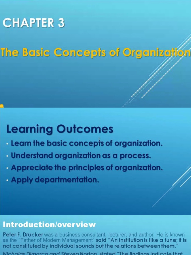 CHAPTER3_The-Basic-Concepts-of-Organization | PDF