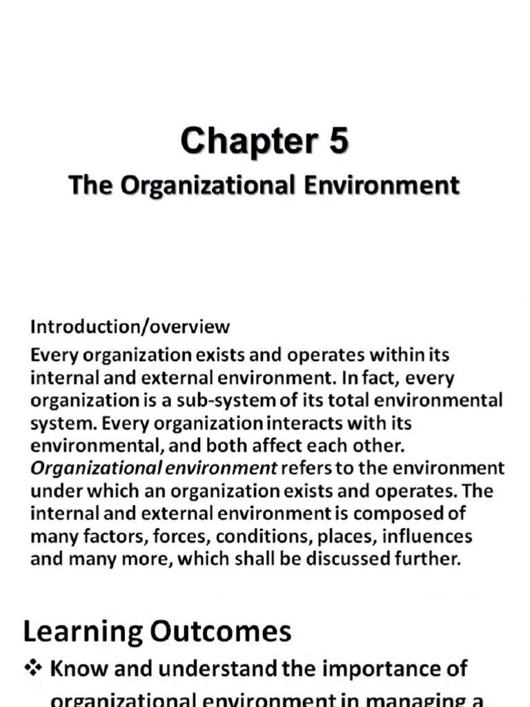 CHAPTER5 Organizational-Environment | PDF