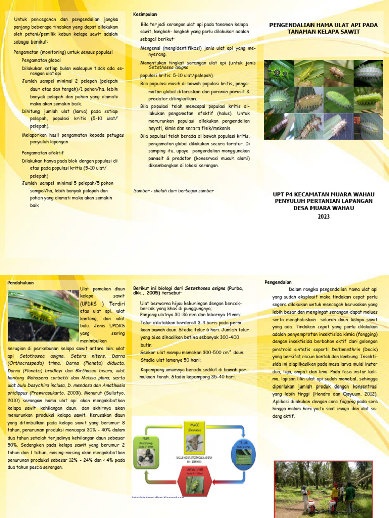 Leaflet Ulat API 2023 | PDF