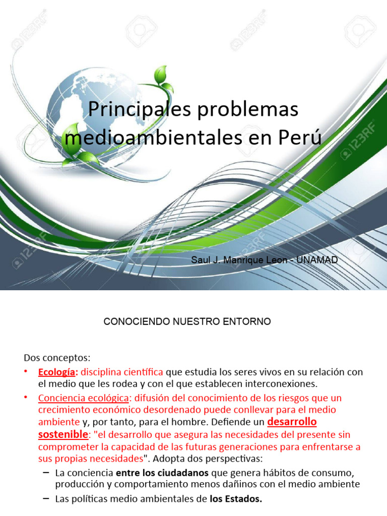 Principales Problemas Medioambientales en Perú - 2020 | PDF | Gases de ...