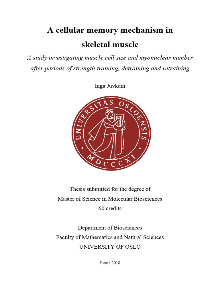 Juvkam A Cellular Memory Mechanism in Skeletal Muscle | PDF | Skeletal ...
