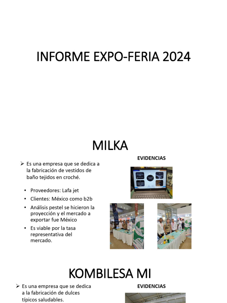 Informe Expo-Feria 2024 | PDF