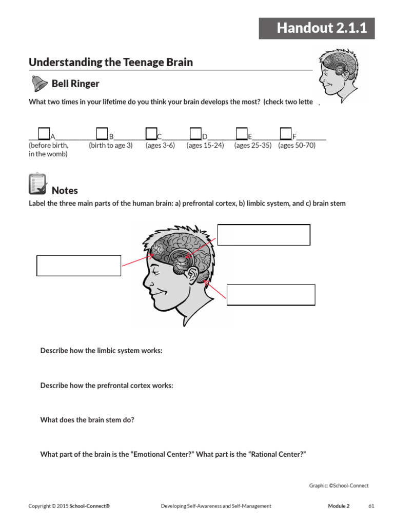 TEENAGE BRAIN Handout | PDF