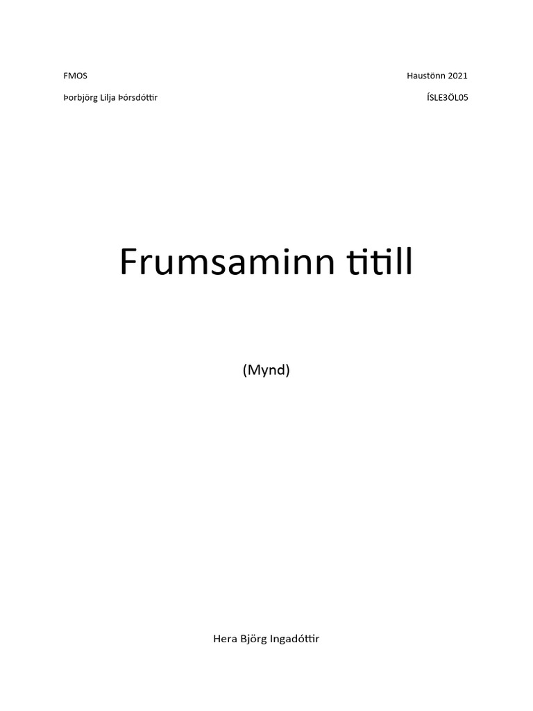 Ritgerð 20 | PDF