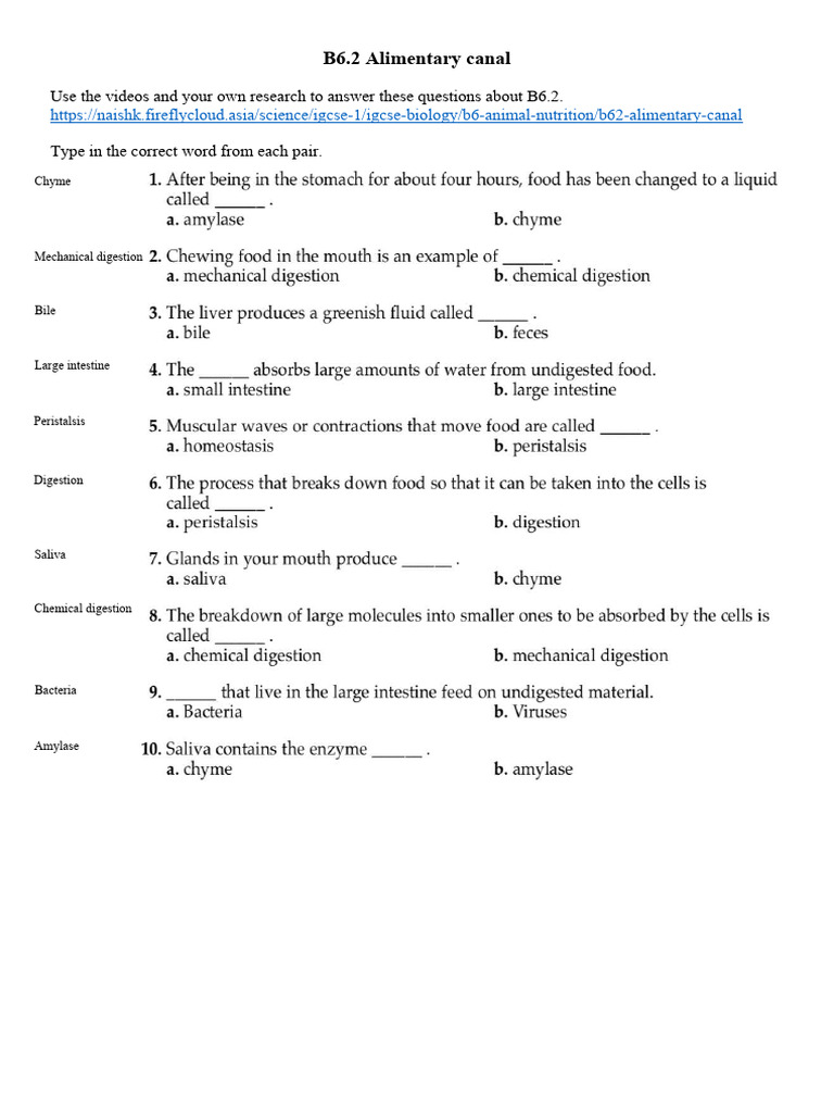 IGCSE Alimentary Canal Overview | PDF | Digestion | Stomach