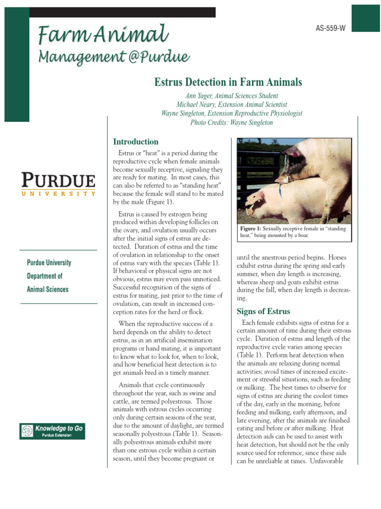 Estrus Detection in Farm Animals | PDF | Sexual Reproduction | Reproduction
