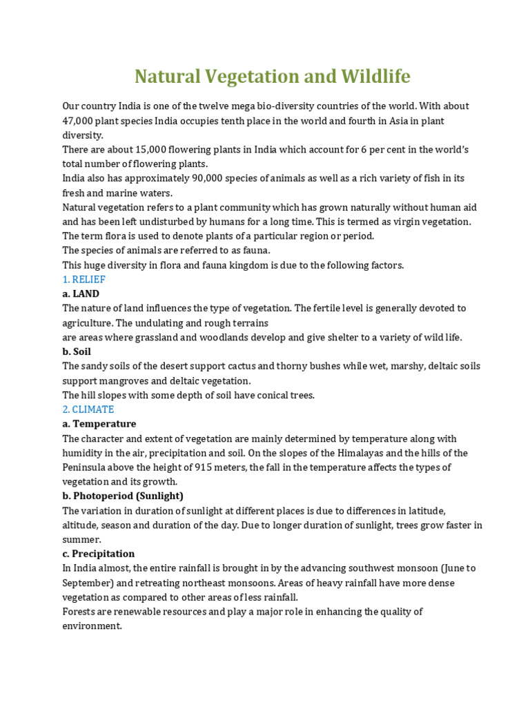 Natural Vegetation and Wildlife | PDF | Rainforest | Forests