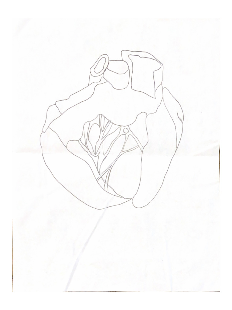 Heart Write Up As Aqa Alevel | PDF