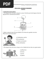 Identifying Variables Worksheet | PDF