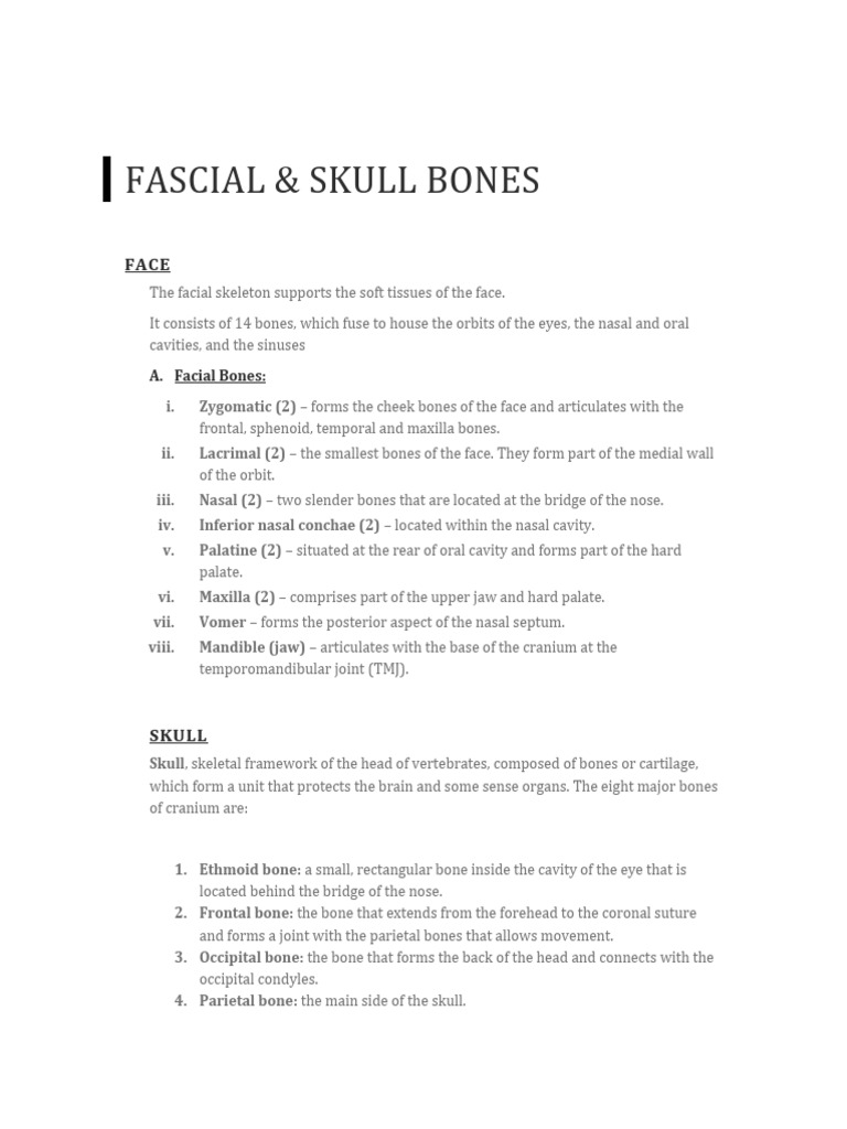 Facial and Skull Bone Overview | PDF | Skull | Human Nose