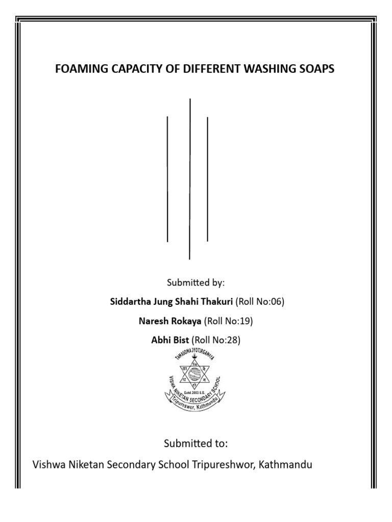 Chemistry Project Work Class11E | PDF | Soap | Fatty Acid
