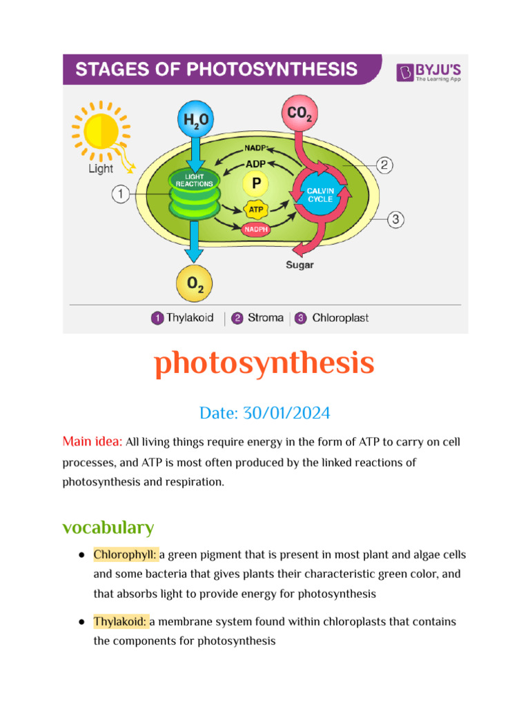 Photosynthesis | Download Free PDF | Photosynthesis | Chemistry