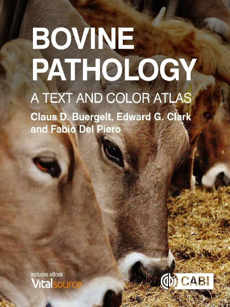 Bovine Pathology a Text and Color Atlas | PDF | Respiratory Diseases | Pneumonia