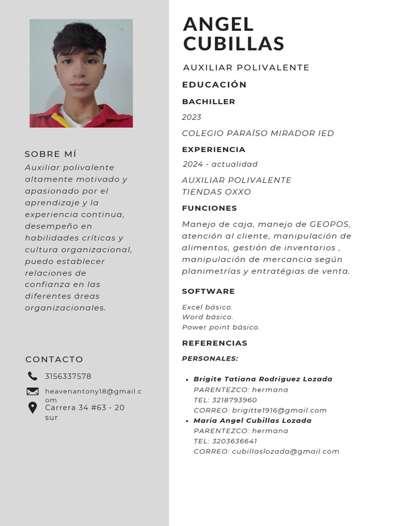CV Con Foto Trabajo Formal Joven Blanco Neutro | PDF