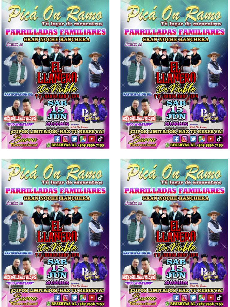 200 Flayer Pica On Ramo | PDF