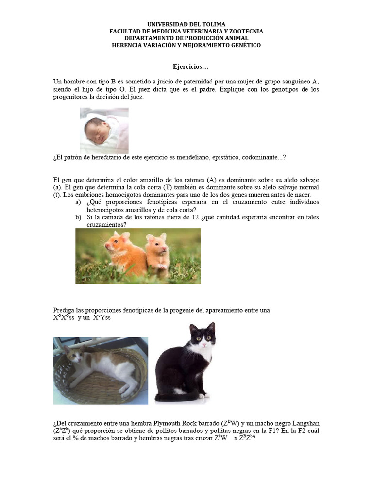 Ejercicios de Genética y Herencia Animal | PDF | Dominancia (Genética ...