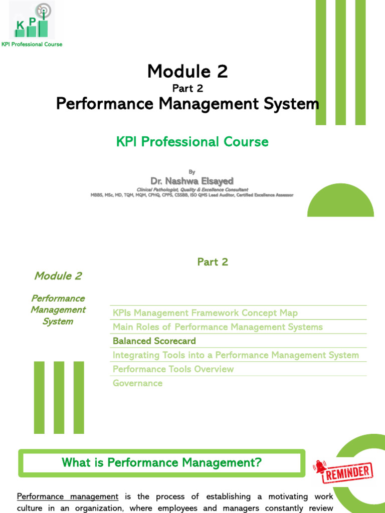 Performance Management for Professionals | PDF | Strategic Management | Performance Indicator