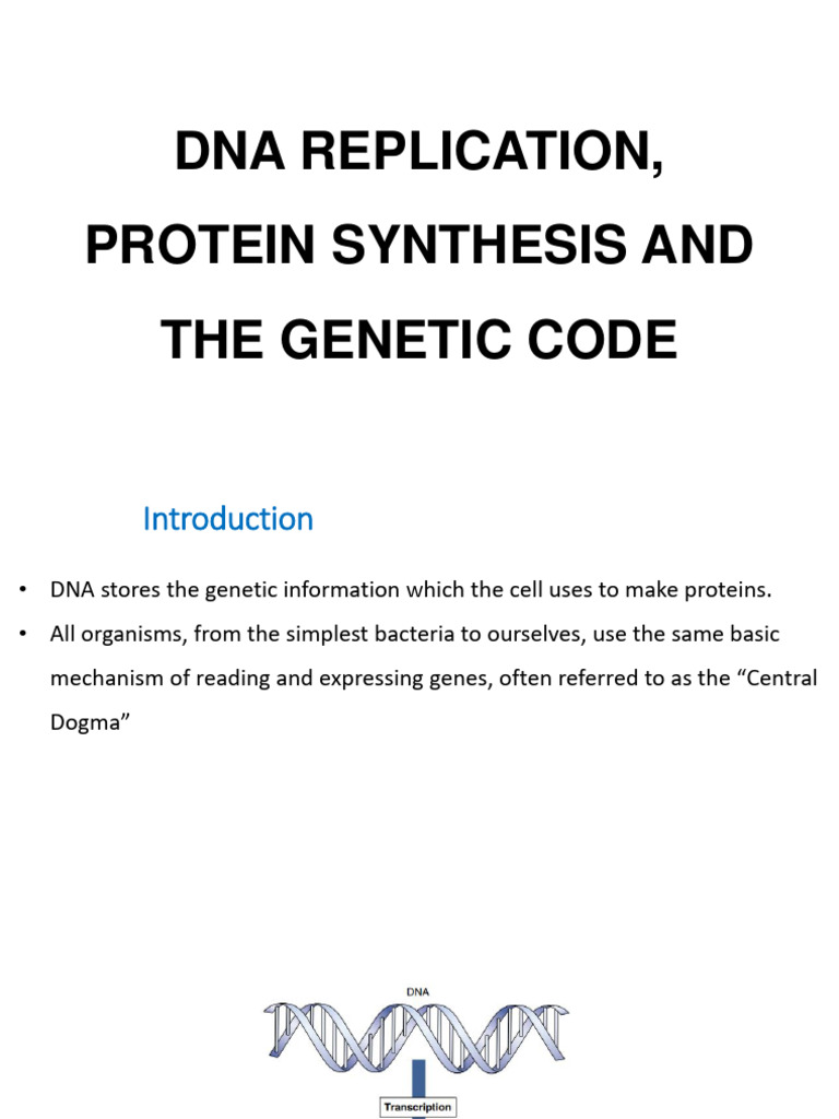 Lecture 6. DNA Replication, Protein Synthesis and The Genetic Code ...