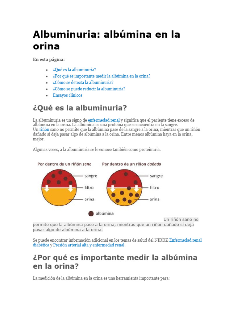 Albuminuria | PDF | Creatinina | Orina