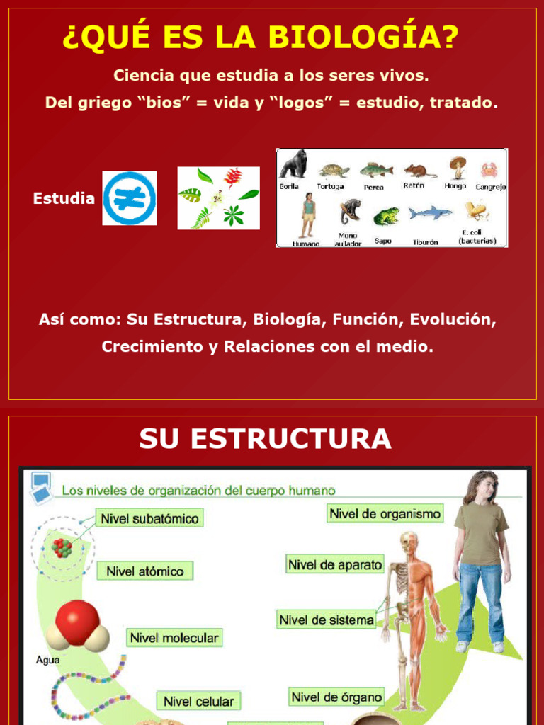 Introducción a la Biología Celular | PDF | Membrana celular | Citoplasma