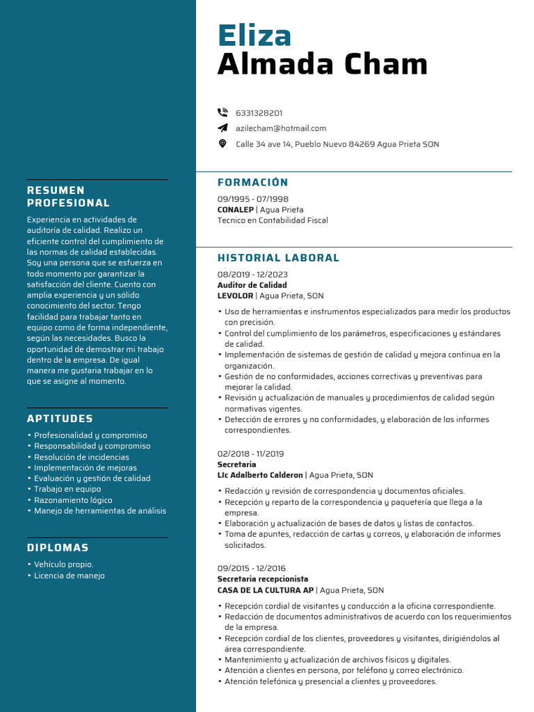 Eliza - Almada Cham - CV (1) - 240129 - 133358 | PDF | Sistema de ...