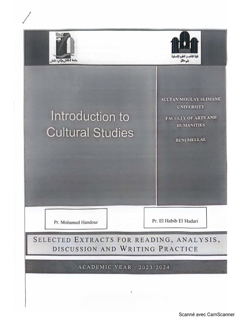 Introduction To Cultural Studies | PDF