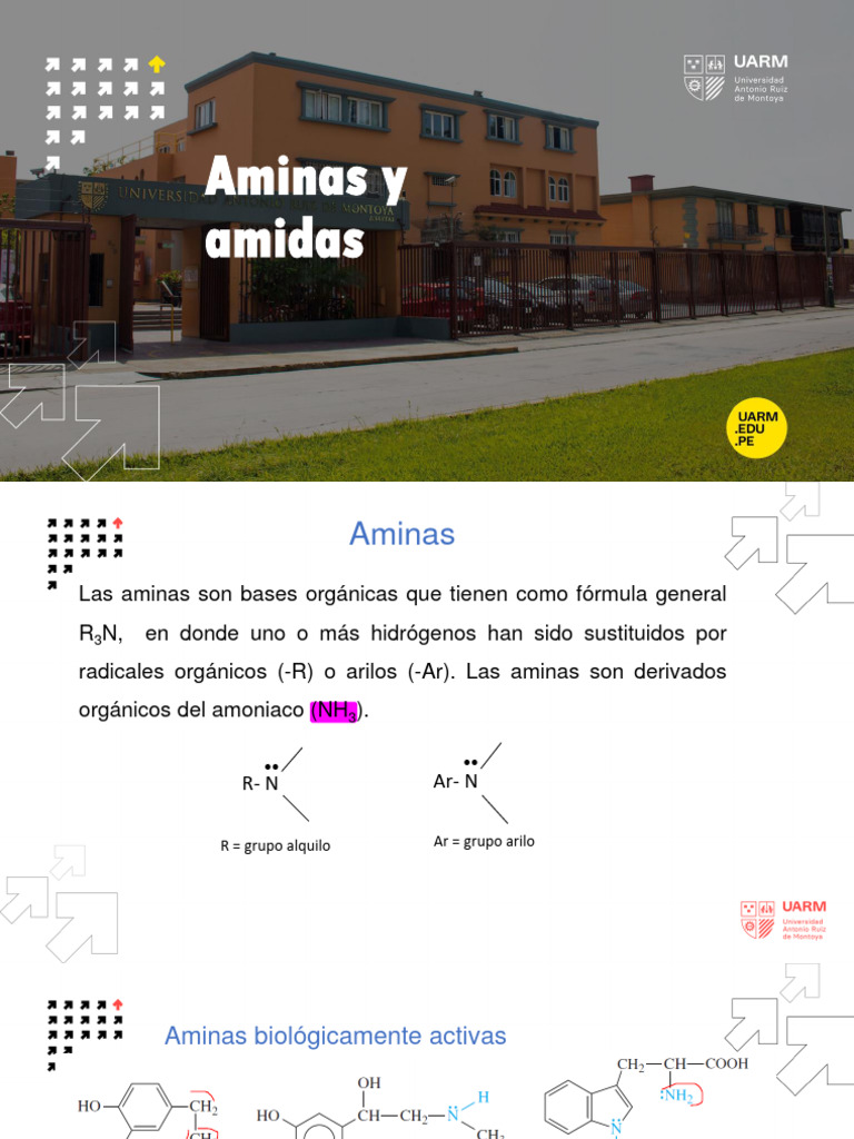 Aminas y Amidas | PDF | Amina | Amida