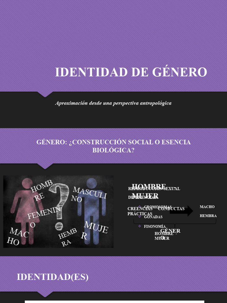 Identidad de Género | PDF | Género | Estudios de género