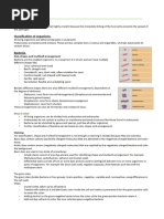 Gram Positive Cocci Flow Chart | PDF | Streptococcus | Prokaryote