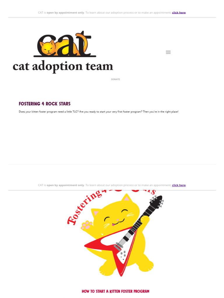 Fostering Cats & Kittens - Cat Adoption Team Fostering Program | PDF ...