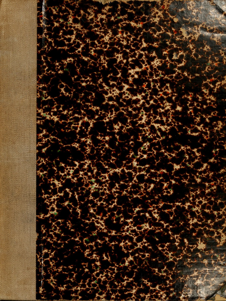 Analesdelmuseona 27 Muse | PDF | Hormiga | Insectos