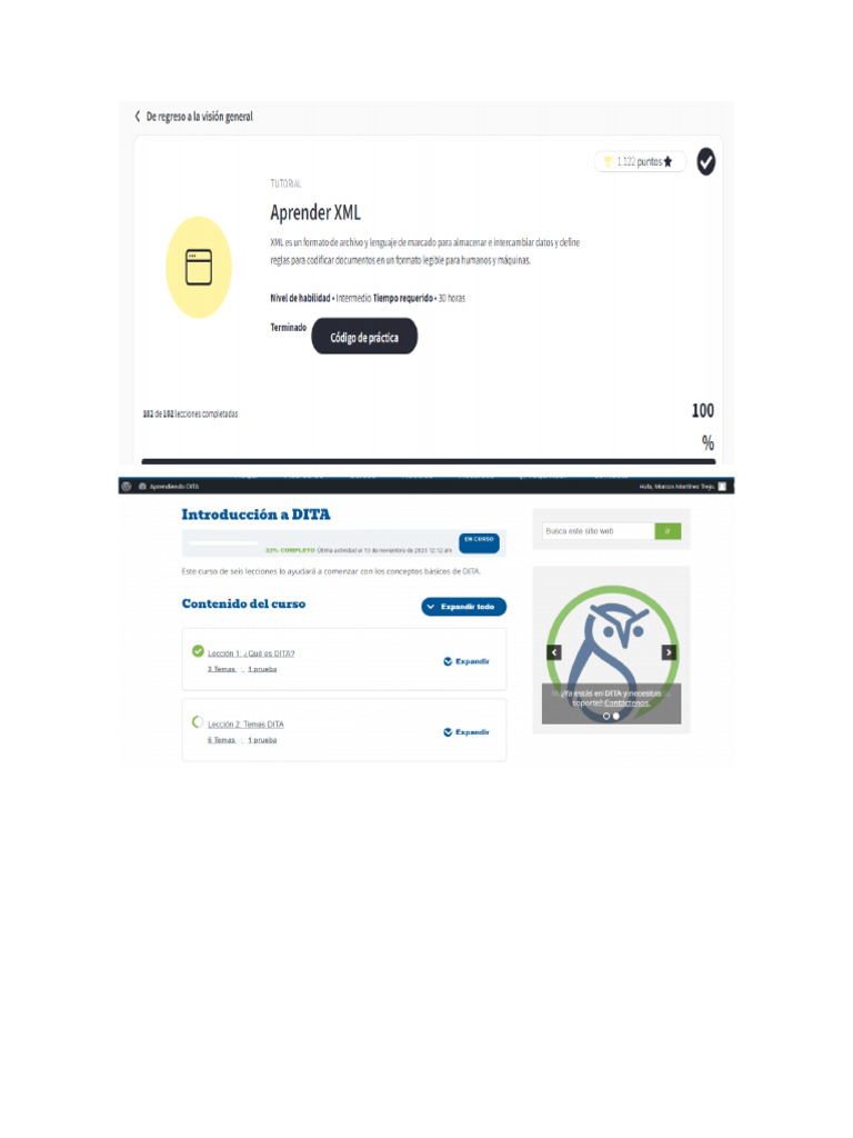 Avance DisMan 2dep | PDF
