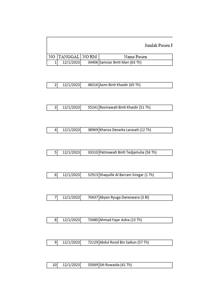 Jumlah Pasien Desember 2023 | PDF