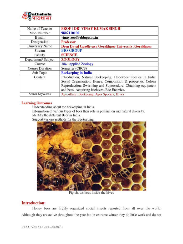 STUDY199@938478 | PDF | Honey Bee | Beekeeping