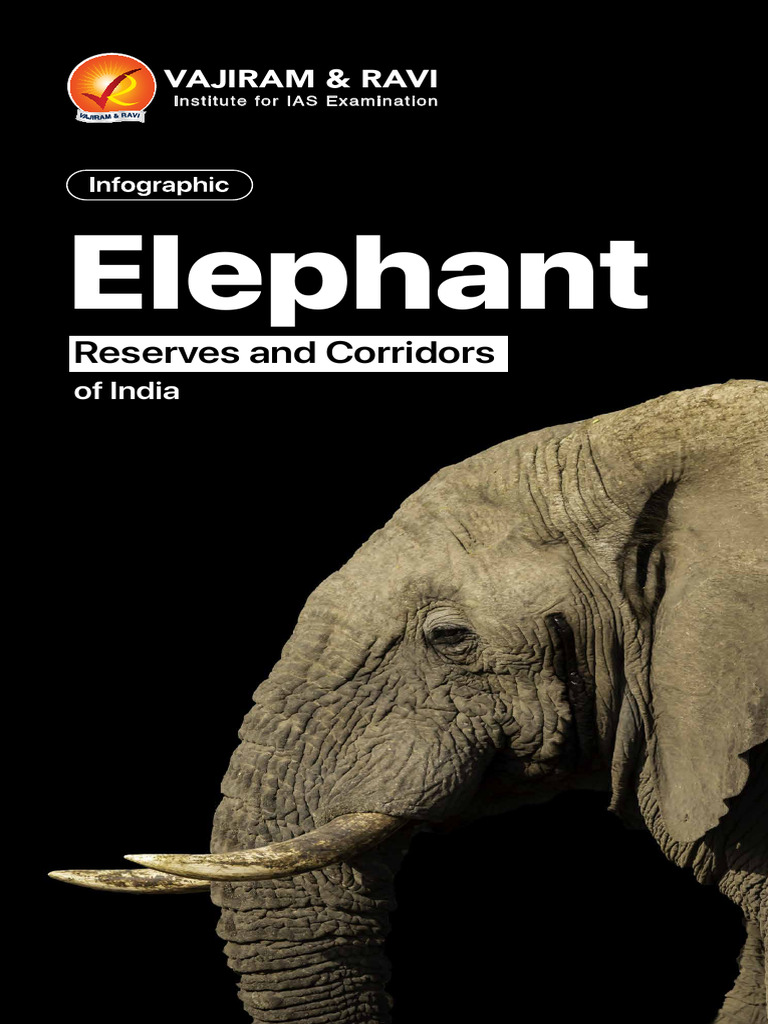 All About Elephant 23f6c9d0c2 | PDF