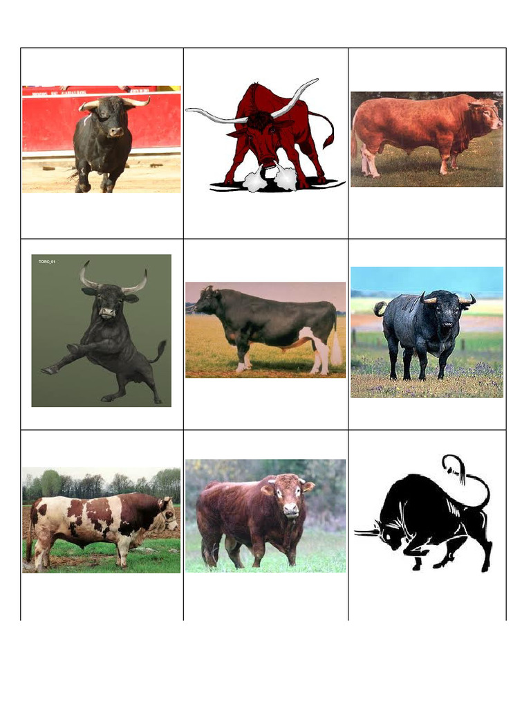 Toro | PDF